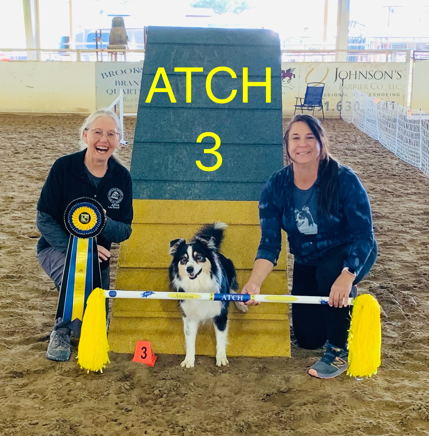 Pawsome Dogs - Dog Training in Santa Clarita, CA | DogPack