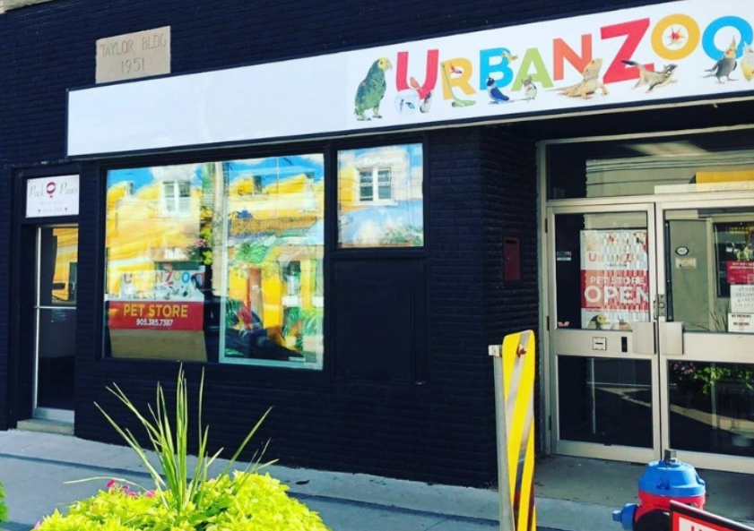 The Urban Zoo - Pet Store | DogPack