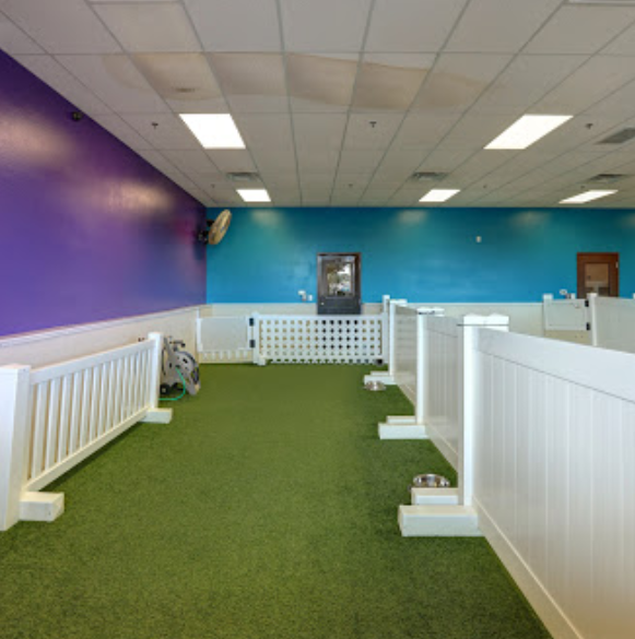 HeartStrings Pet Resort | DogPack