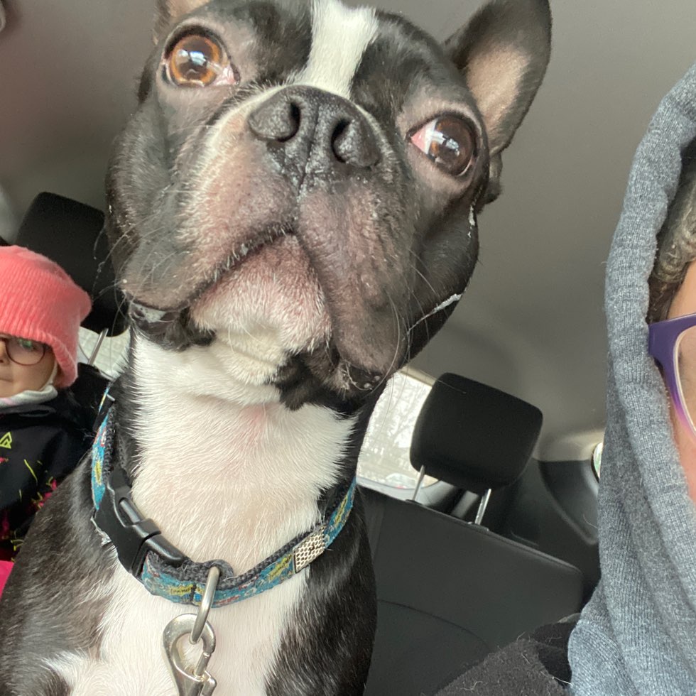 Pierre Radisson Dog Park Dog Park in Saskatoon | Reviews and A...