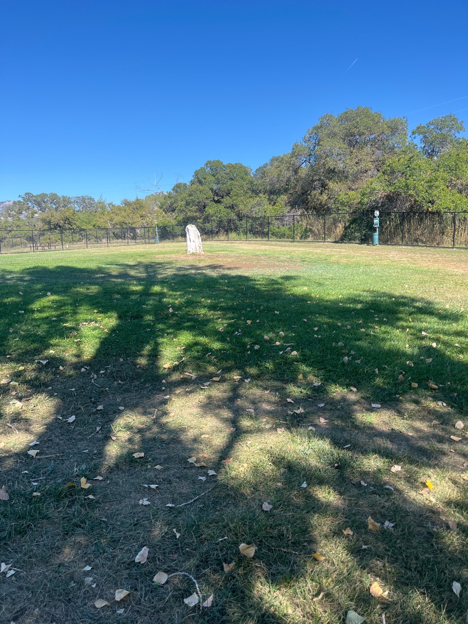 Deerfield Park, Rifle Dog Park in Rifle | Reviews and Amenities