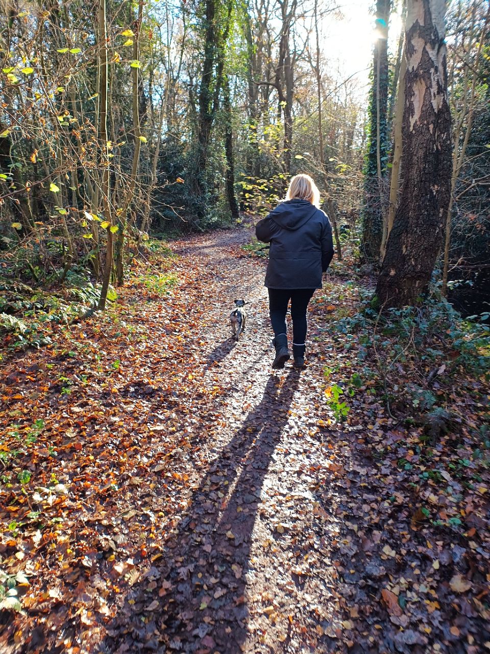 Phoenix Park Dog Park in Runcorn | Reviews and Amenities