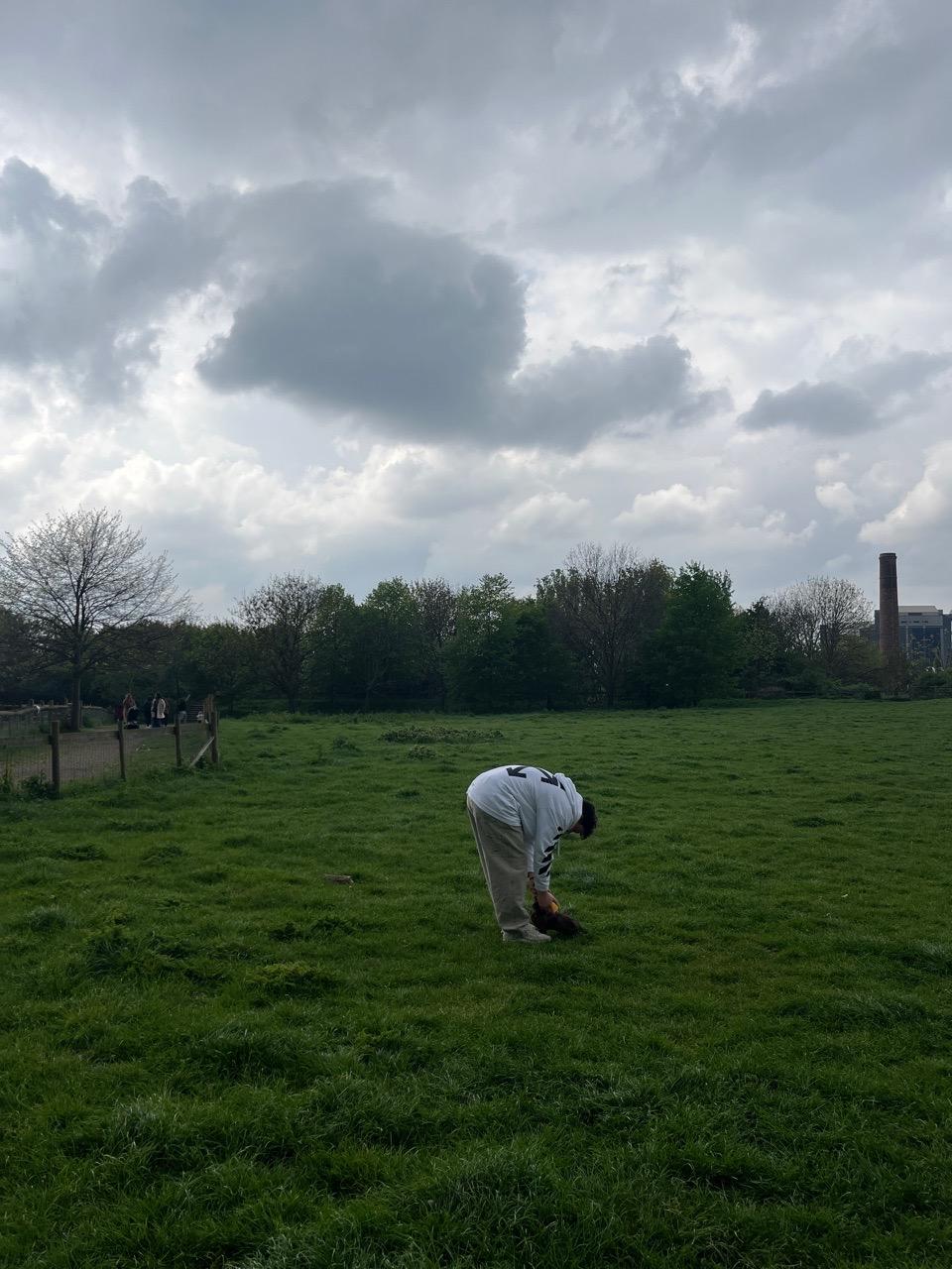 Mudchute Park and Farm Dog Park in London | Reviews and Amenities