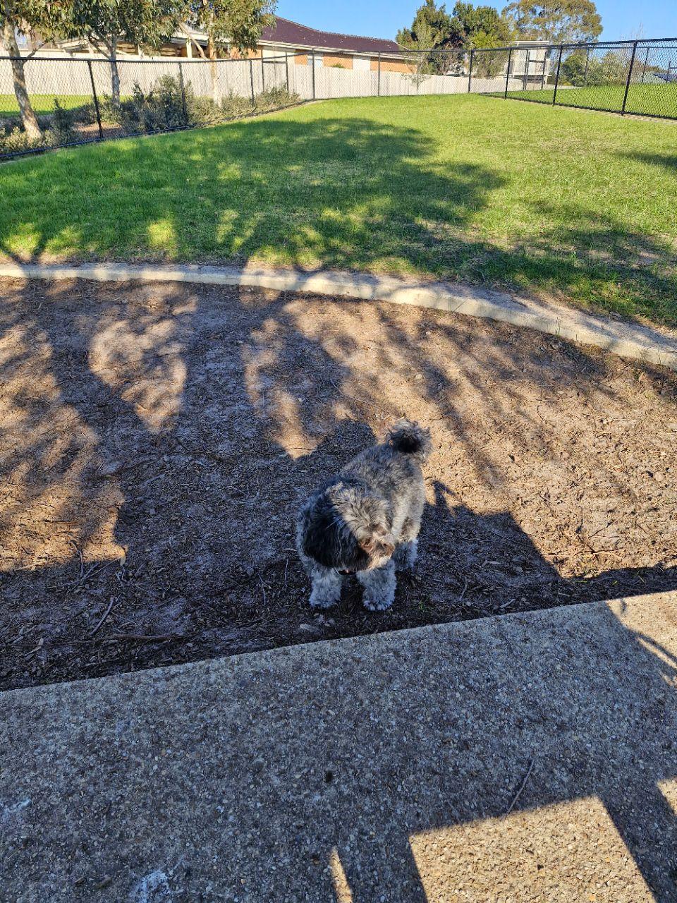 Sandfield Reserve Dog Off Leash Area Dog Park in Melbourne | R...