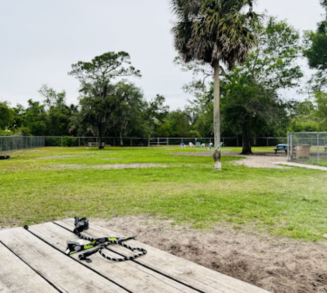 Best Dog-Friendly Parks in New Smyrna Beach, Florida