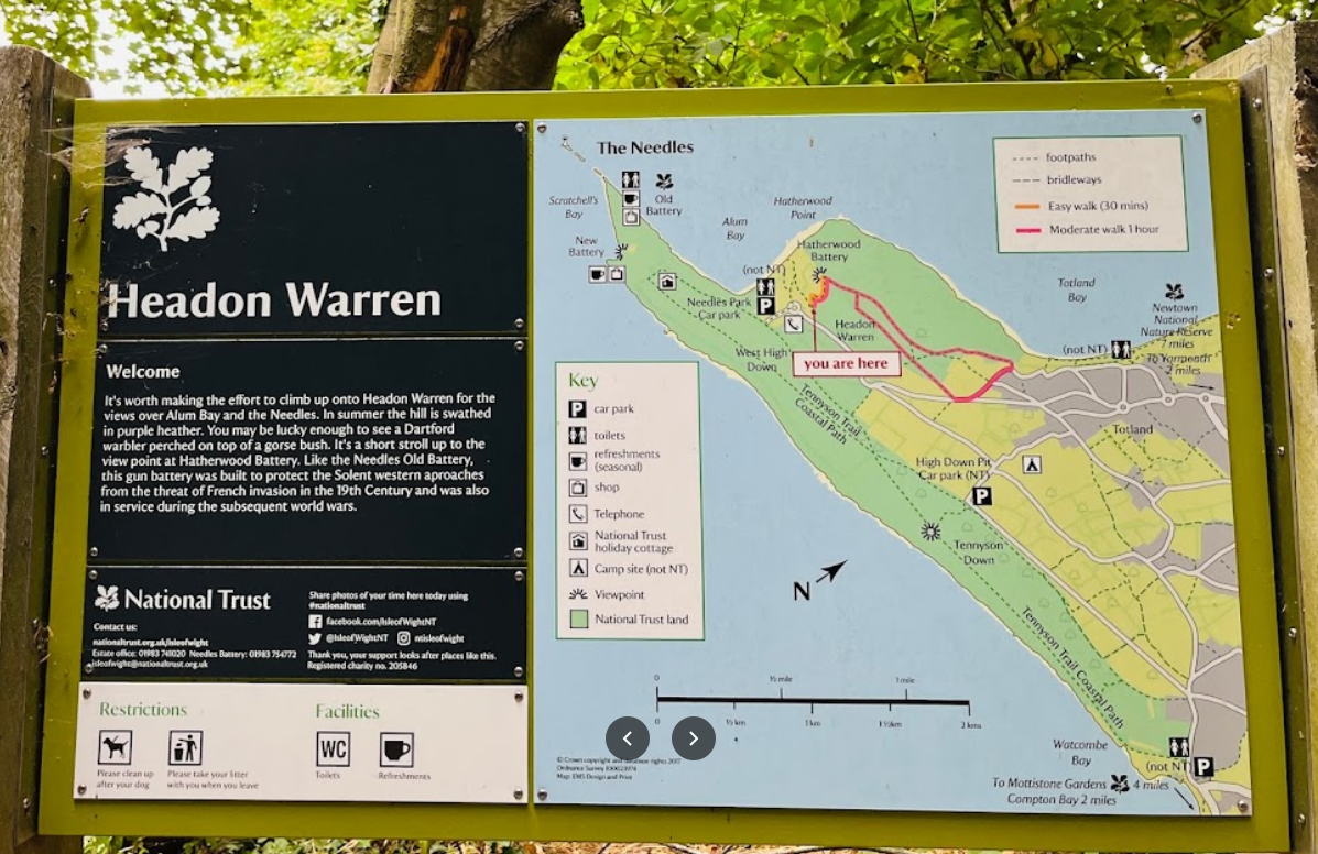 Headon Warren National Trust | DogPack