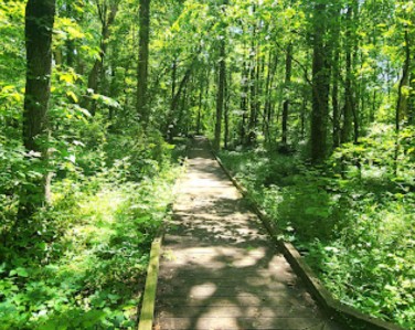 Howell Wetlands Dog Park in Evansville | Reviews and Amenities