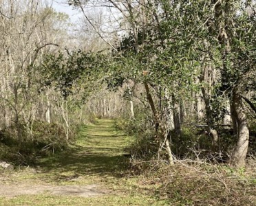 St. Bernard State Park Dog Park in Orange Grove | Reviews and ...