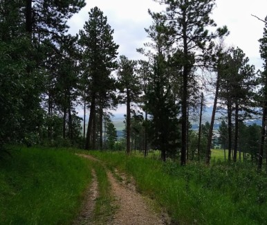 Ft Meade Recreation Area Park Dog Park in Sturgis | Reviews an...