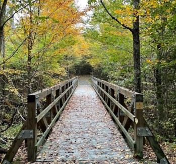 Limberlost Trail Dog Park in Luray | Reviews and Amenities
