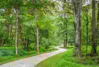 Power Line Trail Dog Park in Langley | Reviews and Amenities