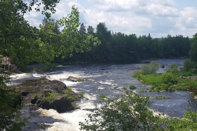 Parc John Champoux Dog Park in Disraeli | Reviews and Amenities