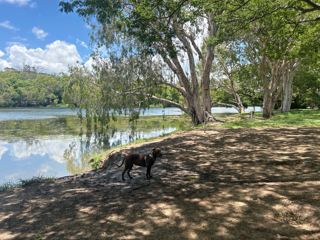 Riverside Off Leash Dog Park | DogPack Riverside Off Leash Dog Park | DogPack