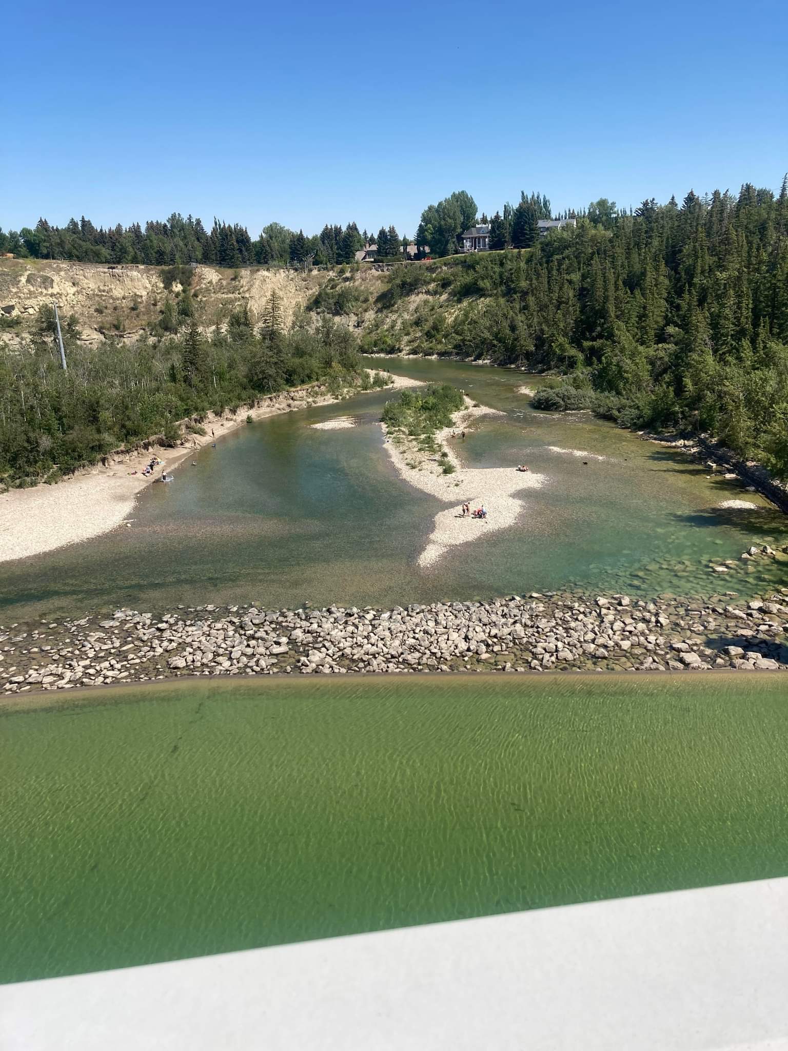 Glenmore Dam Off Leash Dog Park | DogPack Glenmore Dam Off Leash Dog Park | DogPack