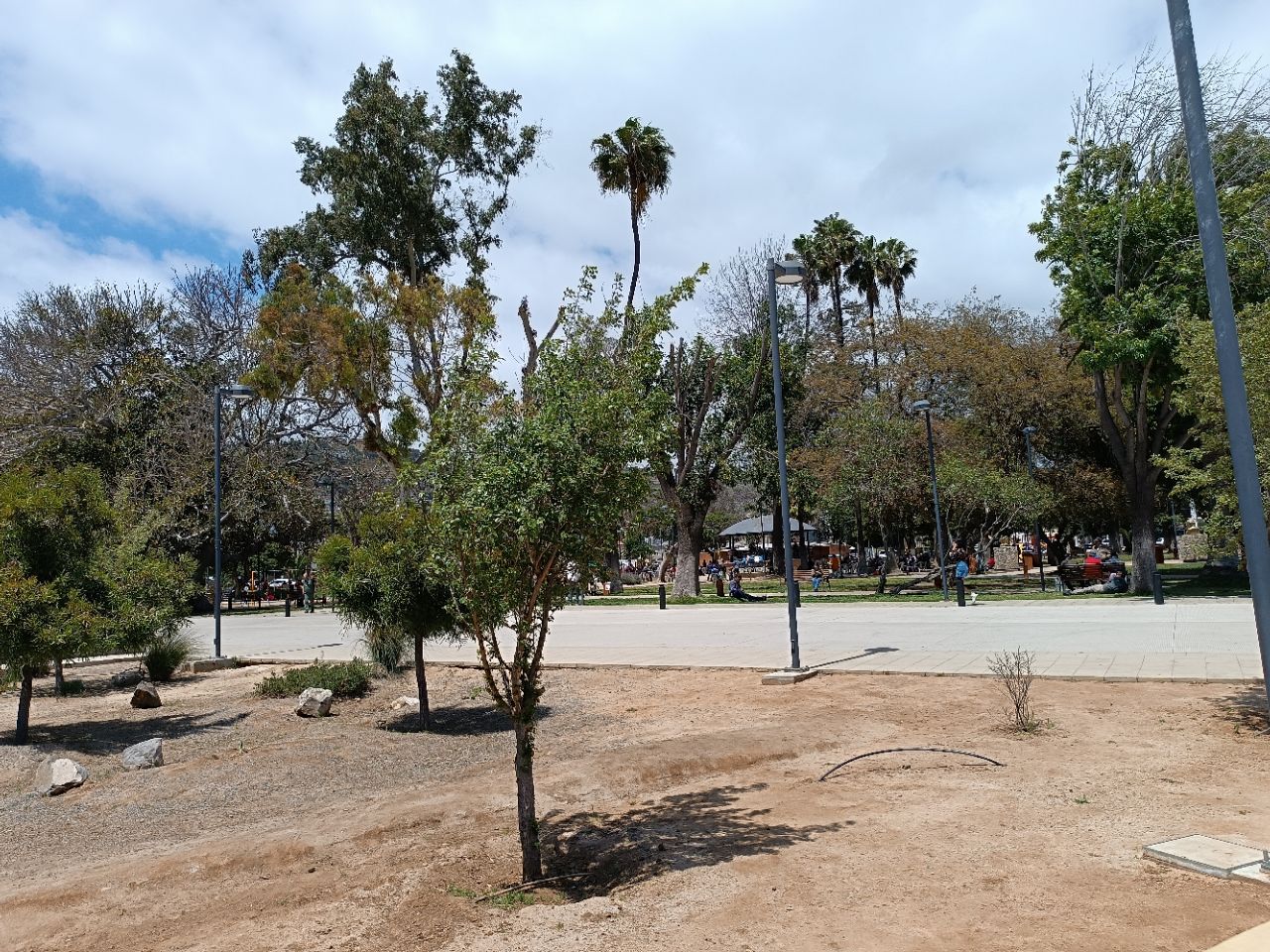 Parque Revolución Dog Park in Ensenada | Reviews and Amenities